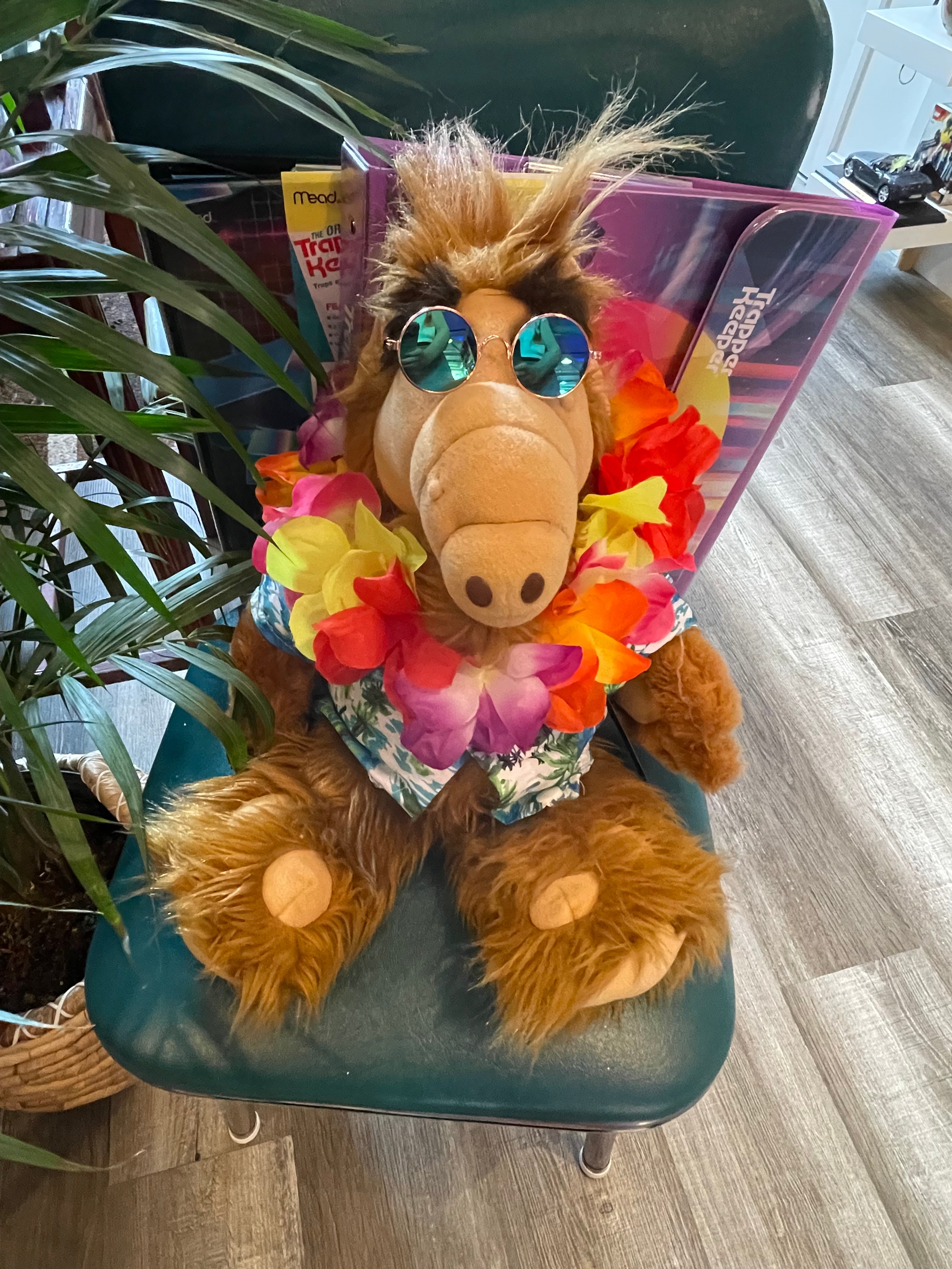 Original Alf Doll (Hawaiian Style) – The Time Machine